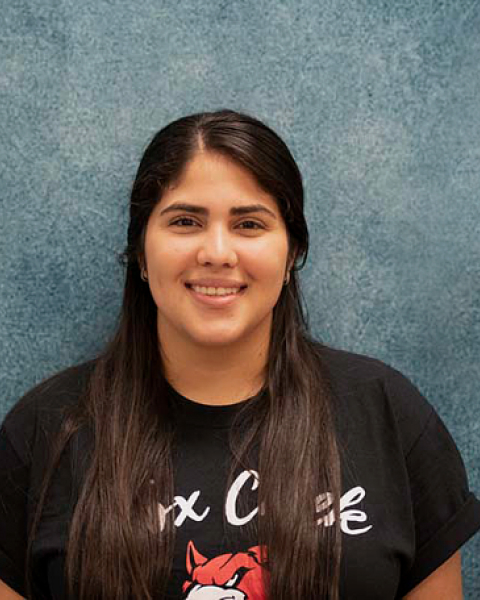 WORLD LANGUAGES Archives - Fox Creek High School